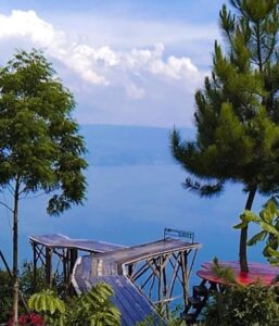 Pinus Hills Simarjarunjung: Wisata Alam Hutan Pinus di Puncak ...