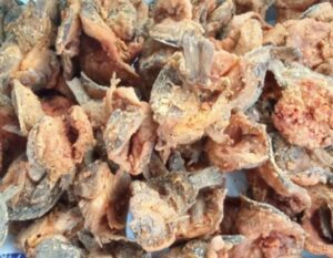 Ikan Iblis Merah Danau Toba: Mancing Ikan Red Devil di Danau Toba ...