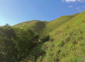 5 Tempat Camping di Samosir, Spot & Lokasi Berkemah Terbaik di Pulau ...