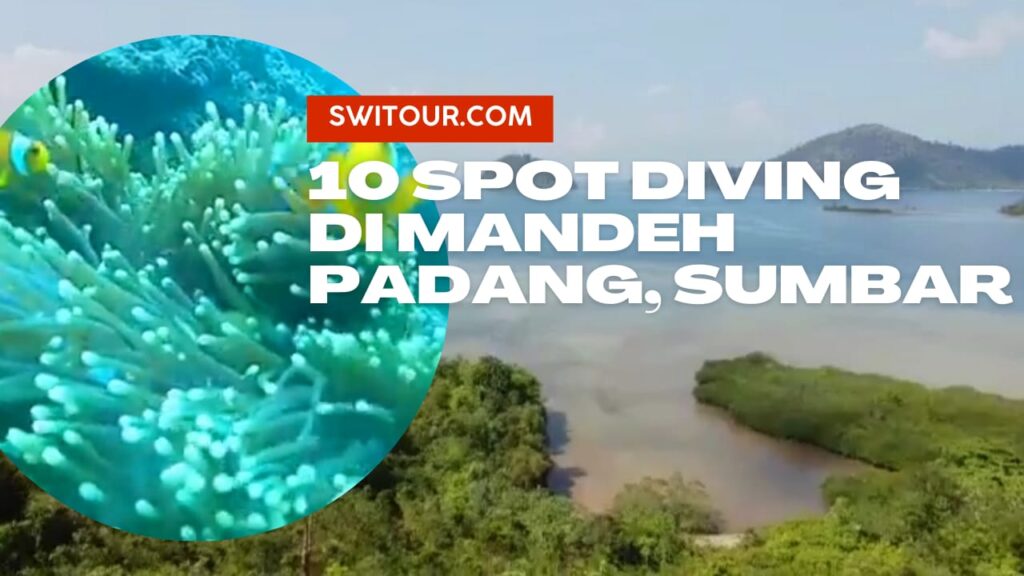 10 Spot Diving di Mandeh, Tempat Terbaik Menyelam Scuba di Pulau Mandeh ...