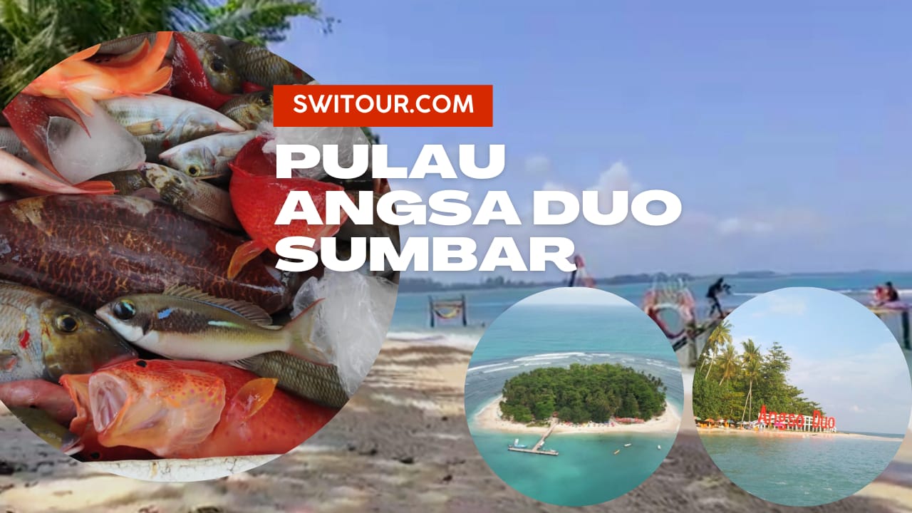 50+ Spot Mancing di Padang, Sumatera Barat (Sumbar), Tempat, Paket & Trip Mancing Mania Laut ...