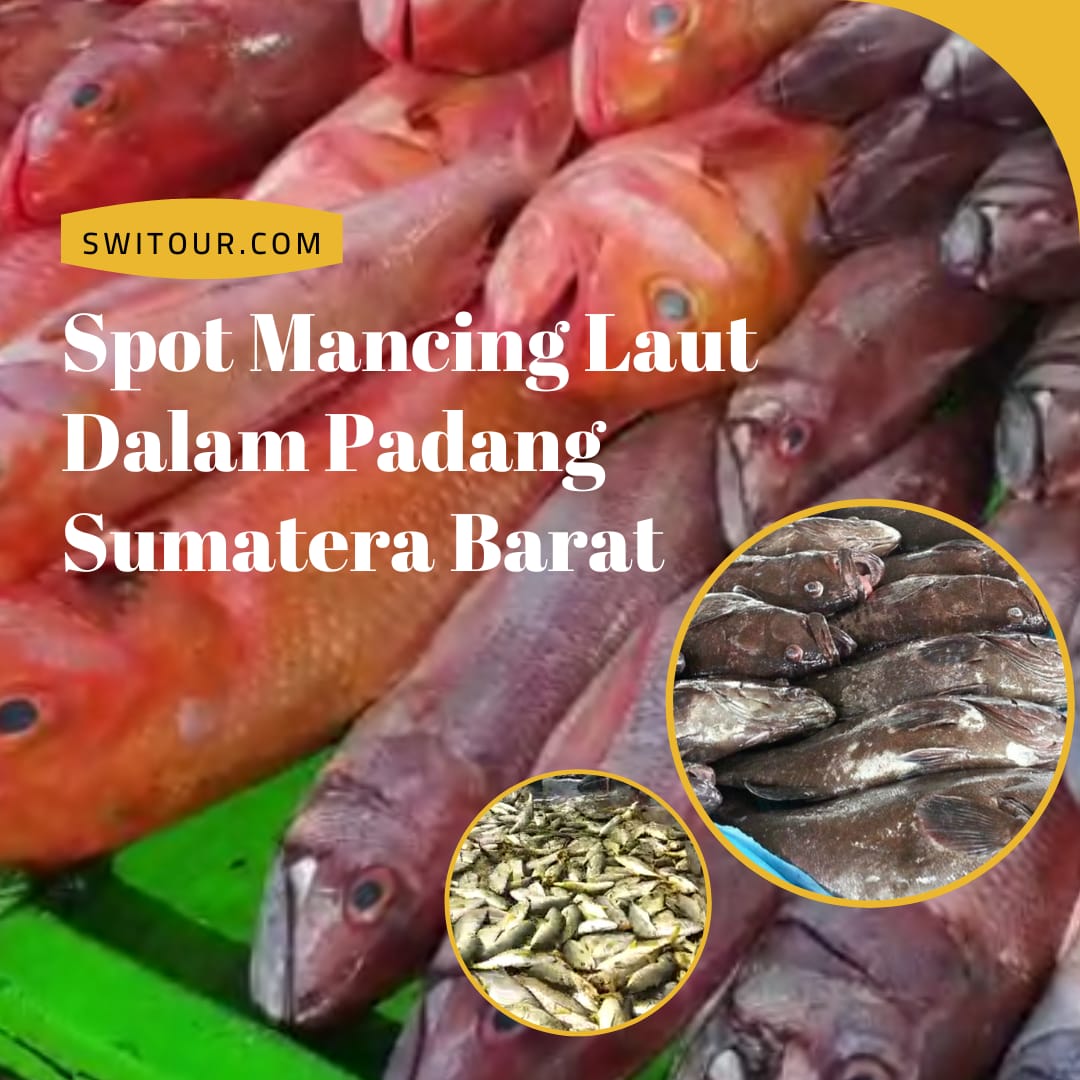 50+ Spot Mancing di Padang, Sumatera Barat (Sumbar), Tempat, Paket ...