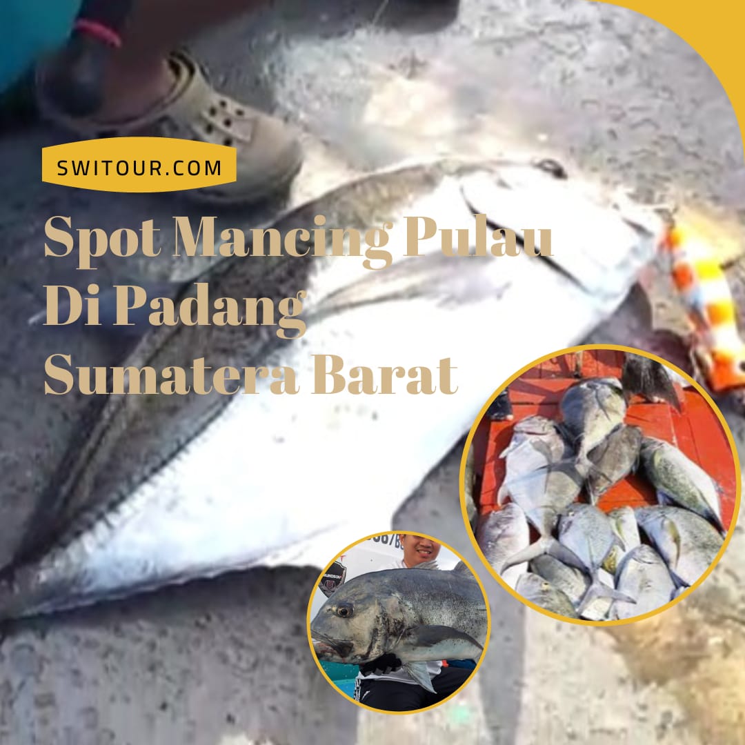 50+ Spot Mancing di Padang, Sumatera Barat (Sumbar), Tempat, Paket & Trip Mancing Mania Laut ...