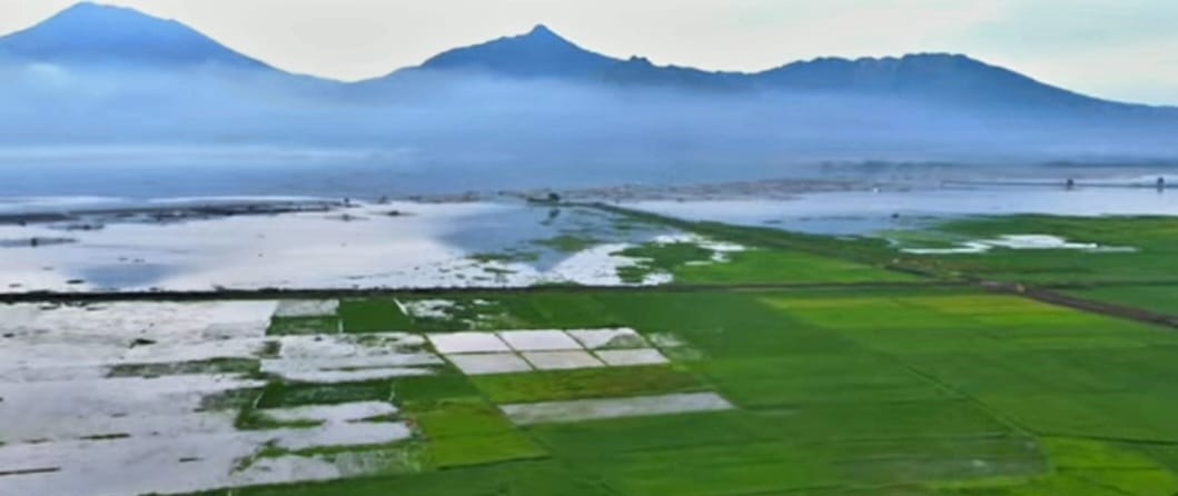 Spot Mancing di Rawa Pening Semarang, Tempat, Tips & Cara Memancing di ...