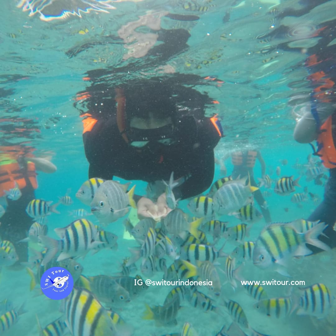 Bolu Meranti Medan: Bagaimana Bolu Meranti Menjadi Oleh-oleh Khas Kota ...