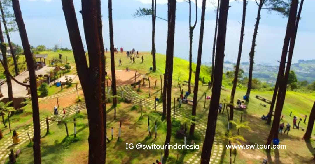 Bolu Meranti Medan: Bagaimana Bolu Meranti Menjadi Oleh-oleh Khas Kota ...