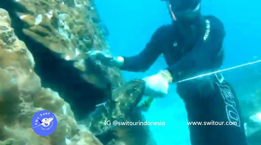 Pulau Kalimantung: Tempat Wisata, Spot Mancing & Diving, Snorkeling ...