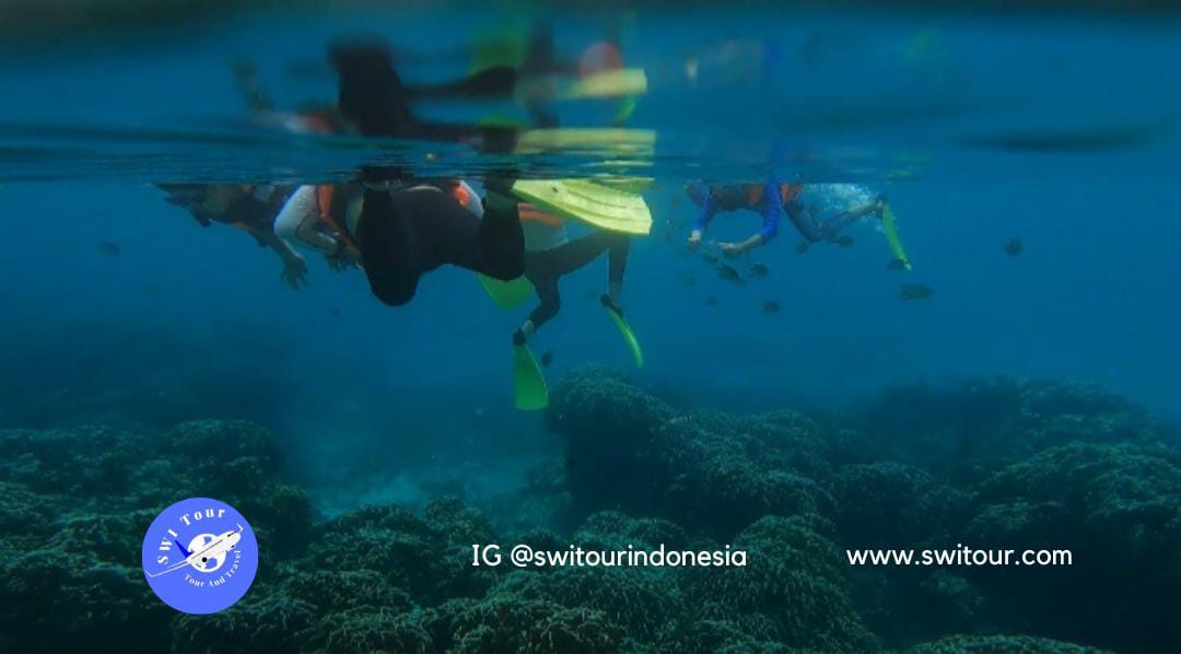 Pulau Kalimantung: Tempat Wisata, Spot Mancing & Diving, Snorkeling ...