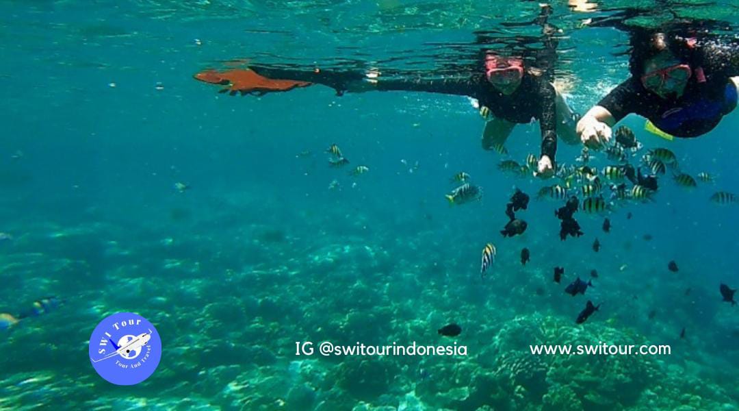 Pulau Kalimantung: Tempat Wisata, Spot Mancing & Diving, Snorkeling ...