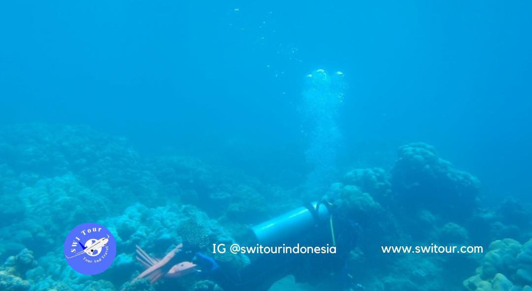Pulau Kalimantung: Tempat Wisata, Spot Mancing & Diving, Snorkeling ...