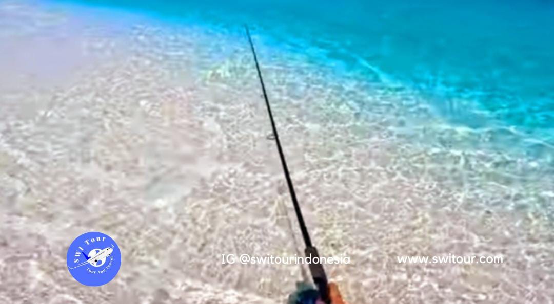 Pulau Kalimantung: Tempat Wisata, Spot Mancing & Diving, Snorkeling ...