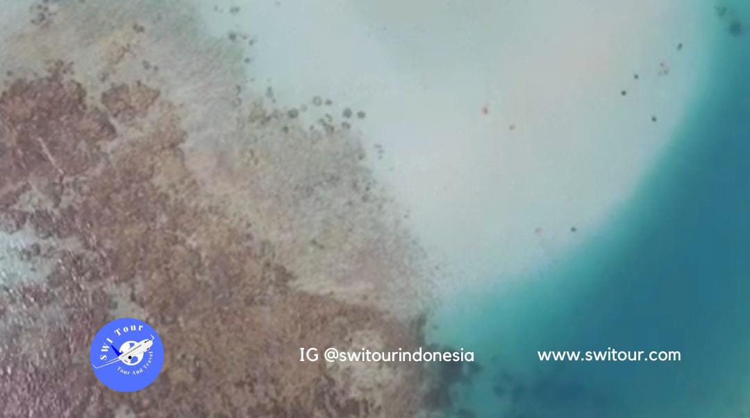Pulau Kalimantung: Tempat Wisata, Spot Mancing & Diving, Snorkeling ...