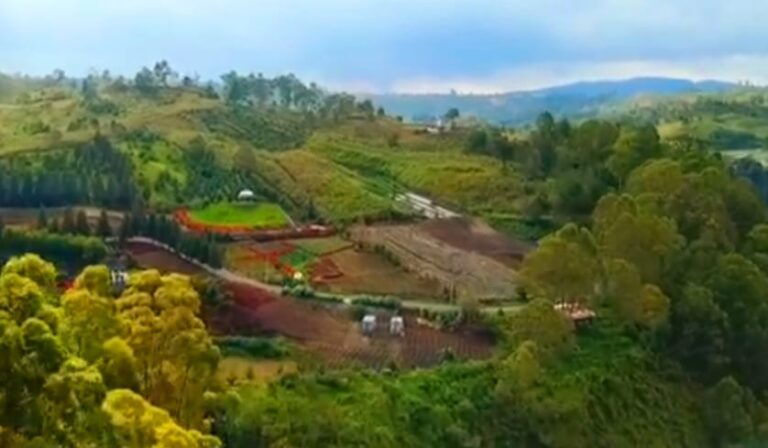 5 Taman Bunga di Danau Toba, Pemandangan Indah Pegunungan dan Hamparan Danau Toba yang luas ...