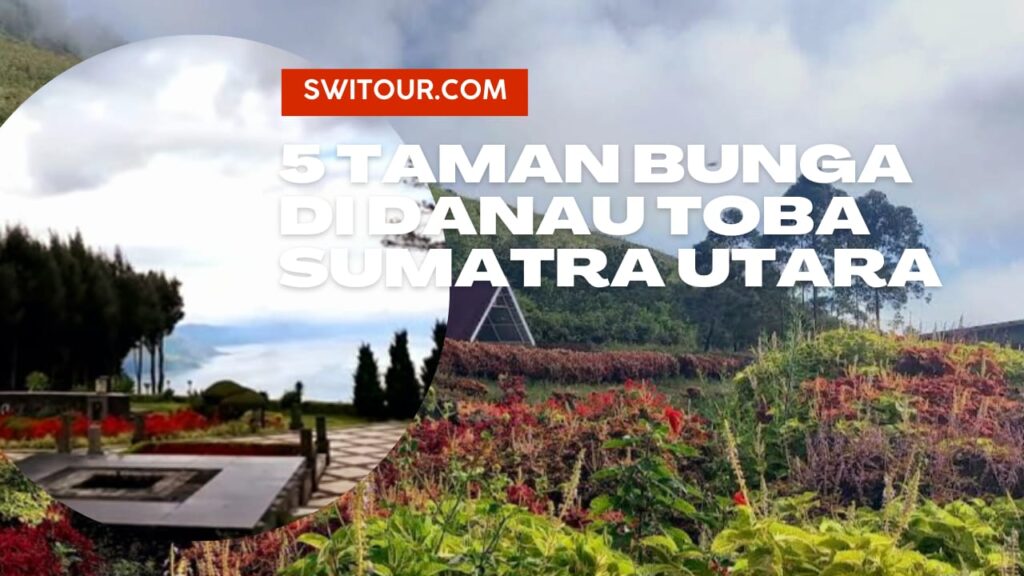5 Taman Bunga di Danau Toba, Pemandangan Indah Pegunungan dan Hamparan ...