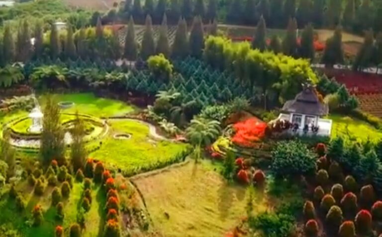 5 Taman Bunga di Danau Toba, Pemandangan Indah Pegunungan dan Hamparan Danau Toba yang luas ...