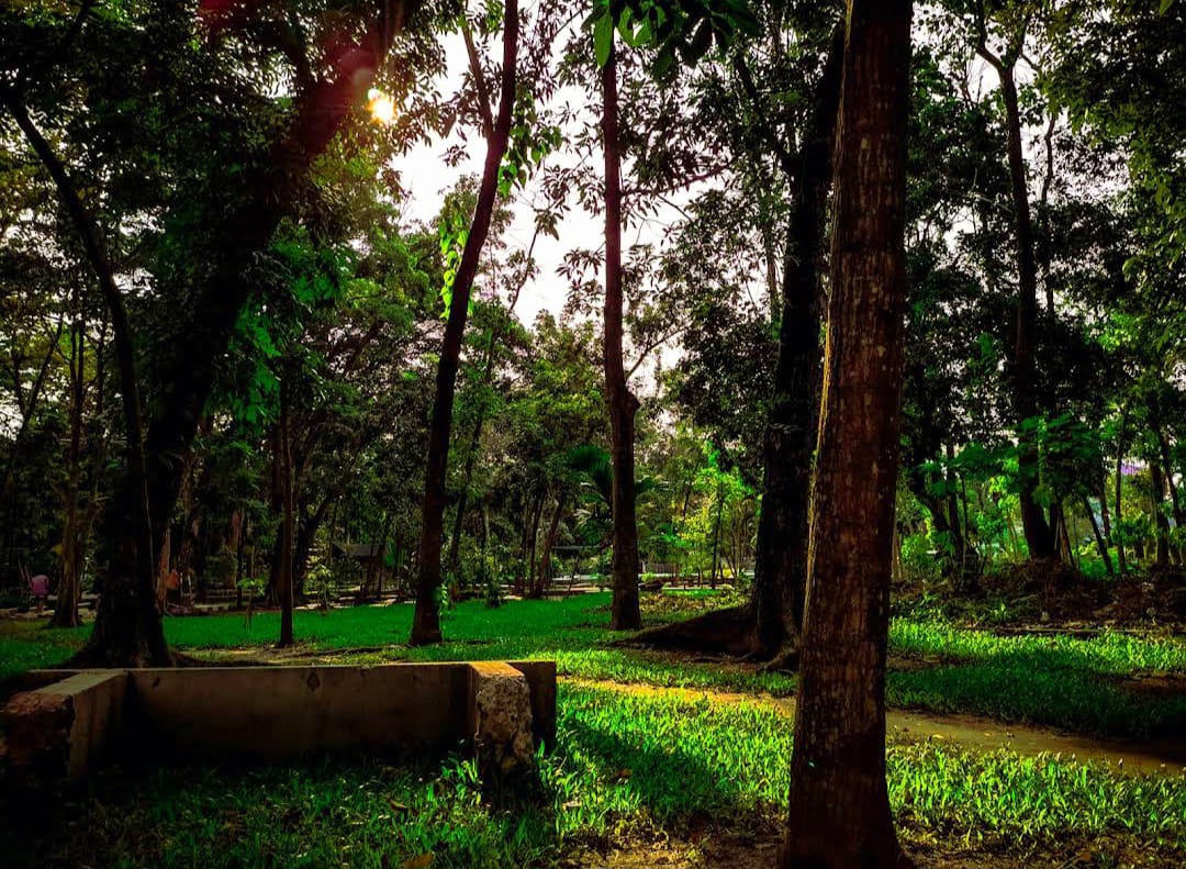 5 Taman Hutan di Medan, Taman Hutan Kota Medan, Sumatera Utara - SWI ...