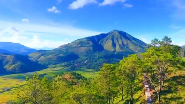 Pinus Hills Simarjarunjung: Wisata Alam Hutan Pinus di Puncak ...
