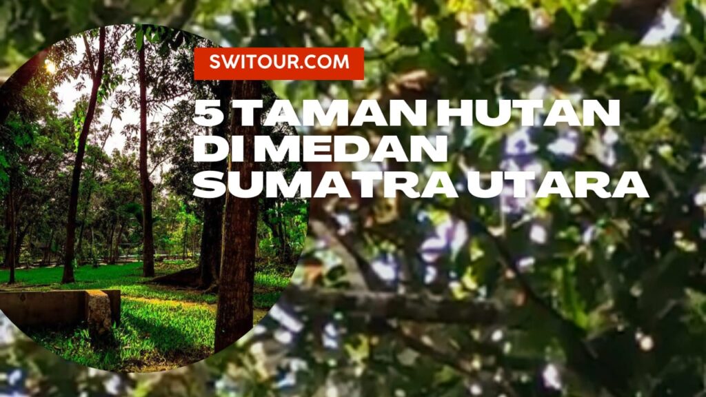 5 Taman Hutan di Medan, Taman Hutan Kota Medan, Sumatera Utara - SWI ...