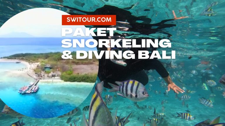 Paket Snorkeling Bali Dan Scuba Diving, Wisata Bahari di Bali - SWI ...
