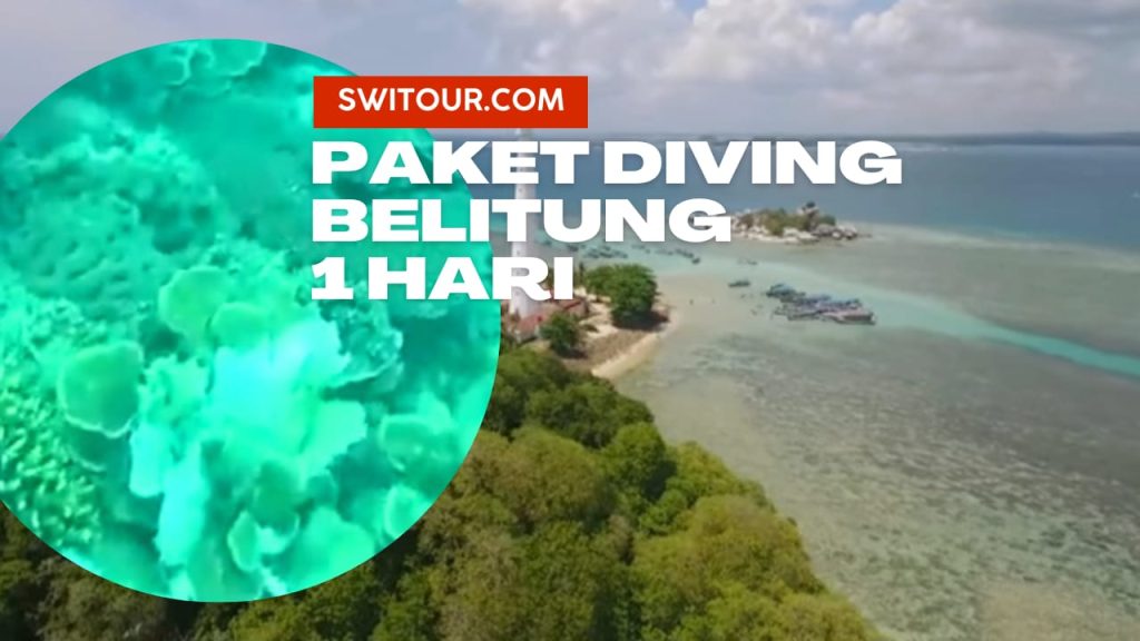 Paket Diving Belitung, Trip Diving di Bangka Belitung - SWI Tour & Travel